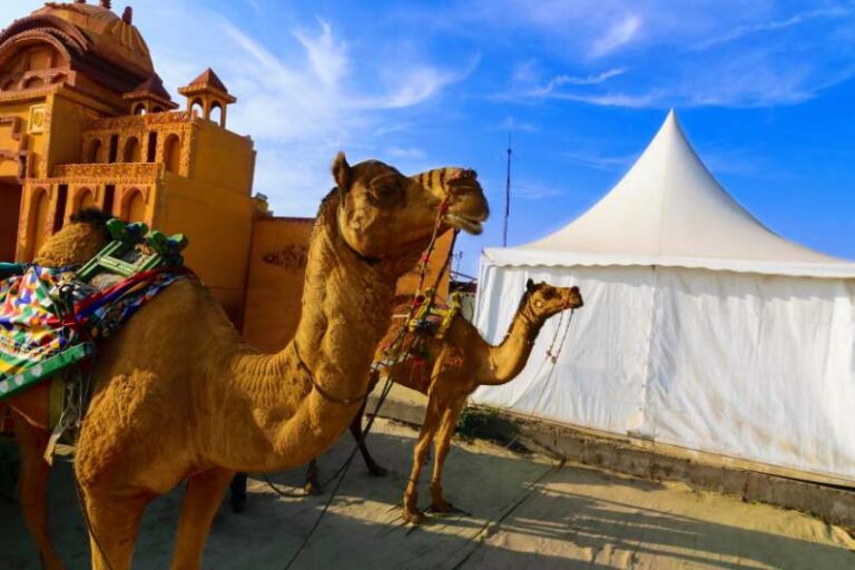 10 Best Places to Visit in Botad