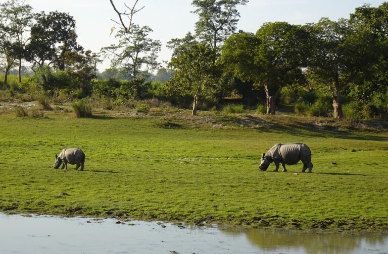 Best places to visit in Kamrup Metropolitan, Assam