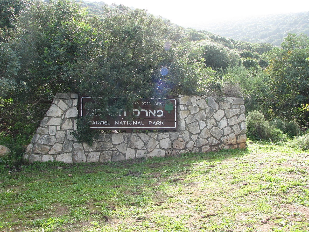 10 Best Places to Visit in Haifa, Israel