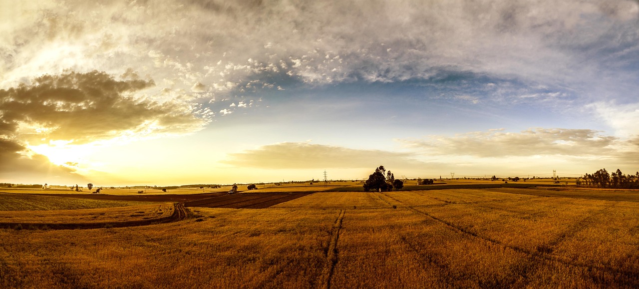 10 Best Places to Visit in Barnala