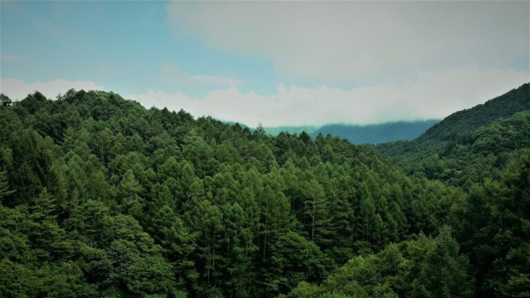 10 Best Places to Visit in Barwani