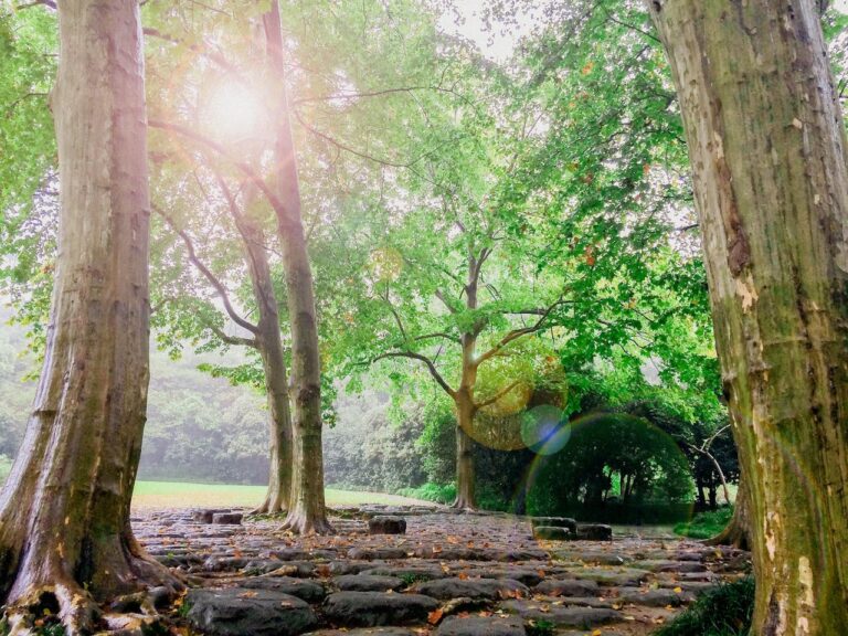 10 Best Places to Visit in Ashoknagar | Top Tourist Attractions
