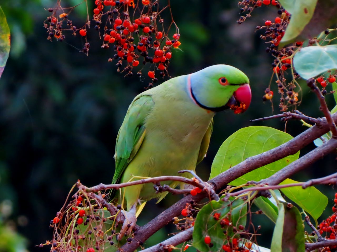 Best places to visit in Etah, Uttar Pradesh